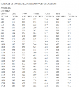 Virginia Child Support Laws - Recording Law